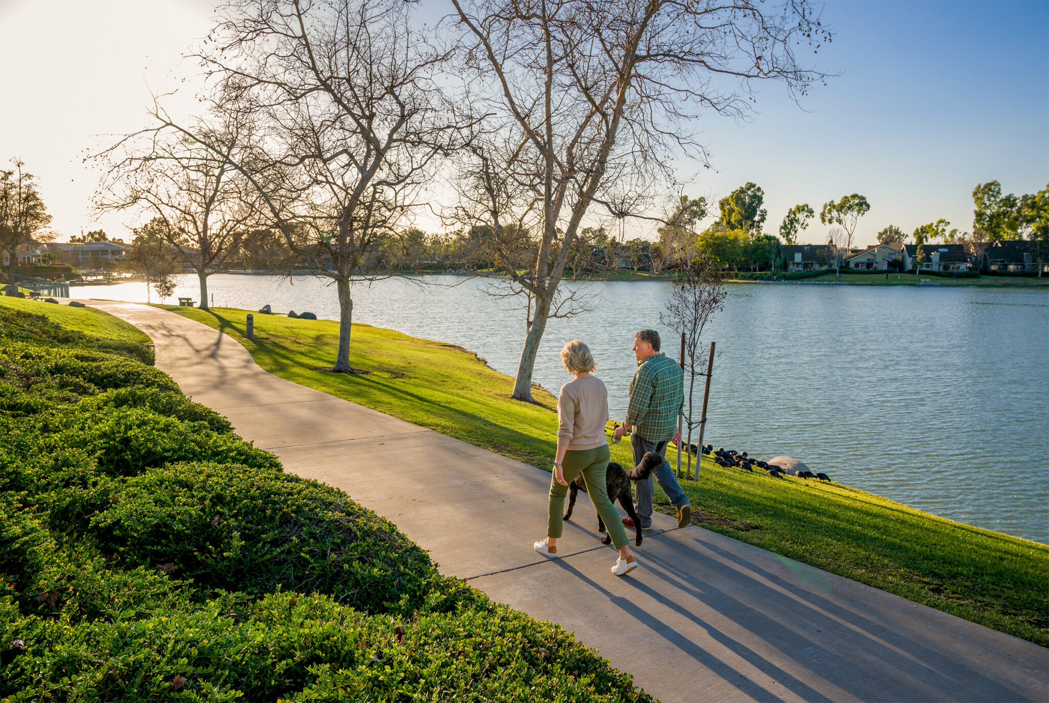 The Story of Irvine Villages